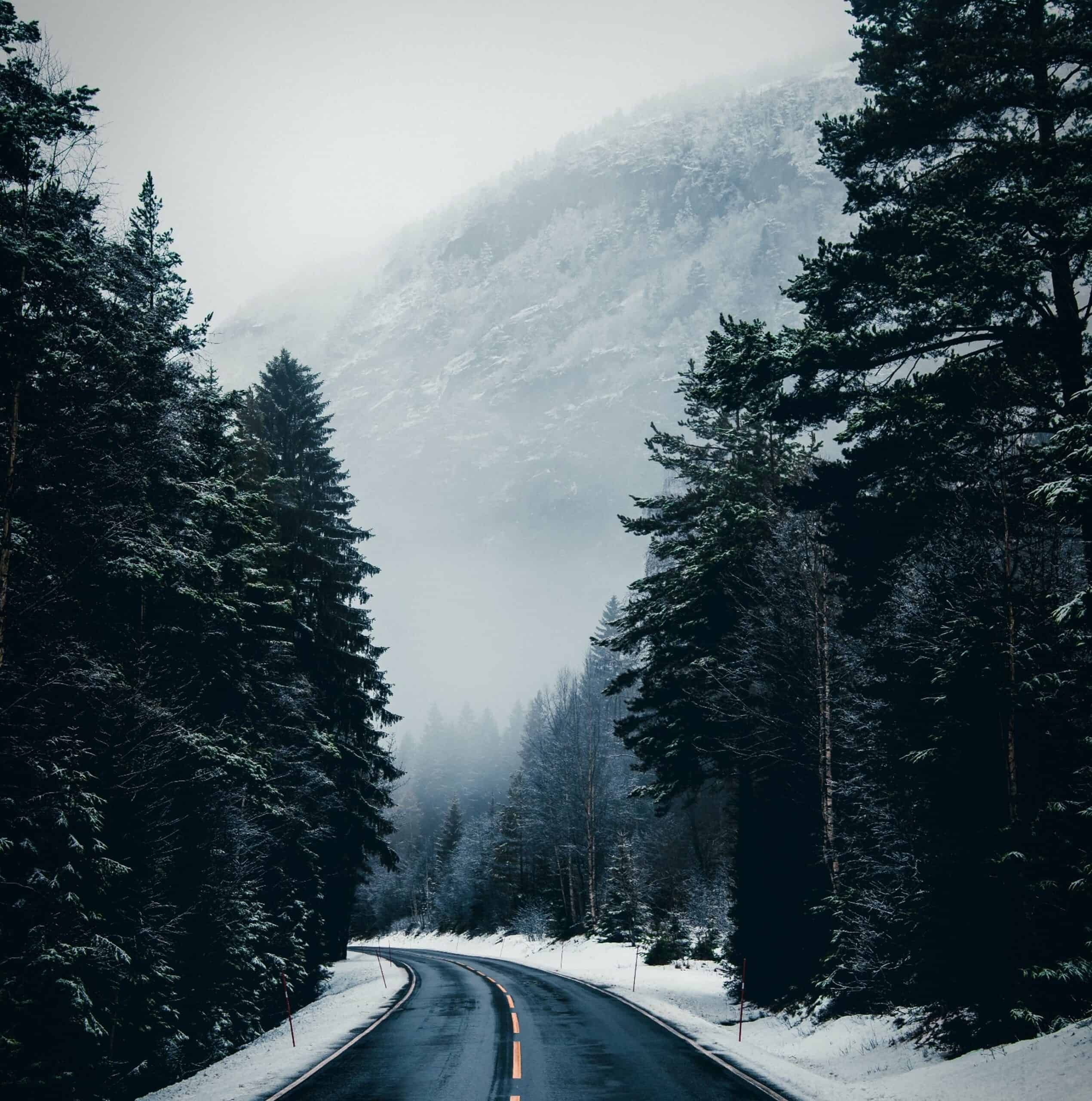 Regulatory Watch - Edition France - Décembre 2021 - Aurexia Insights